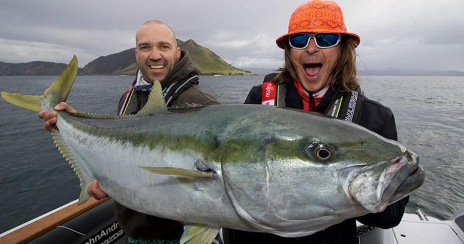 Big Angry Fish » TVF International