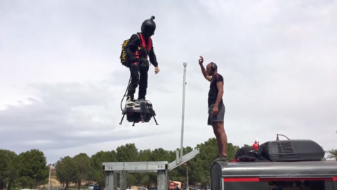 Genres » TVF International