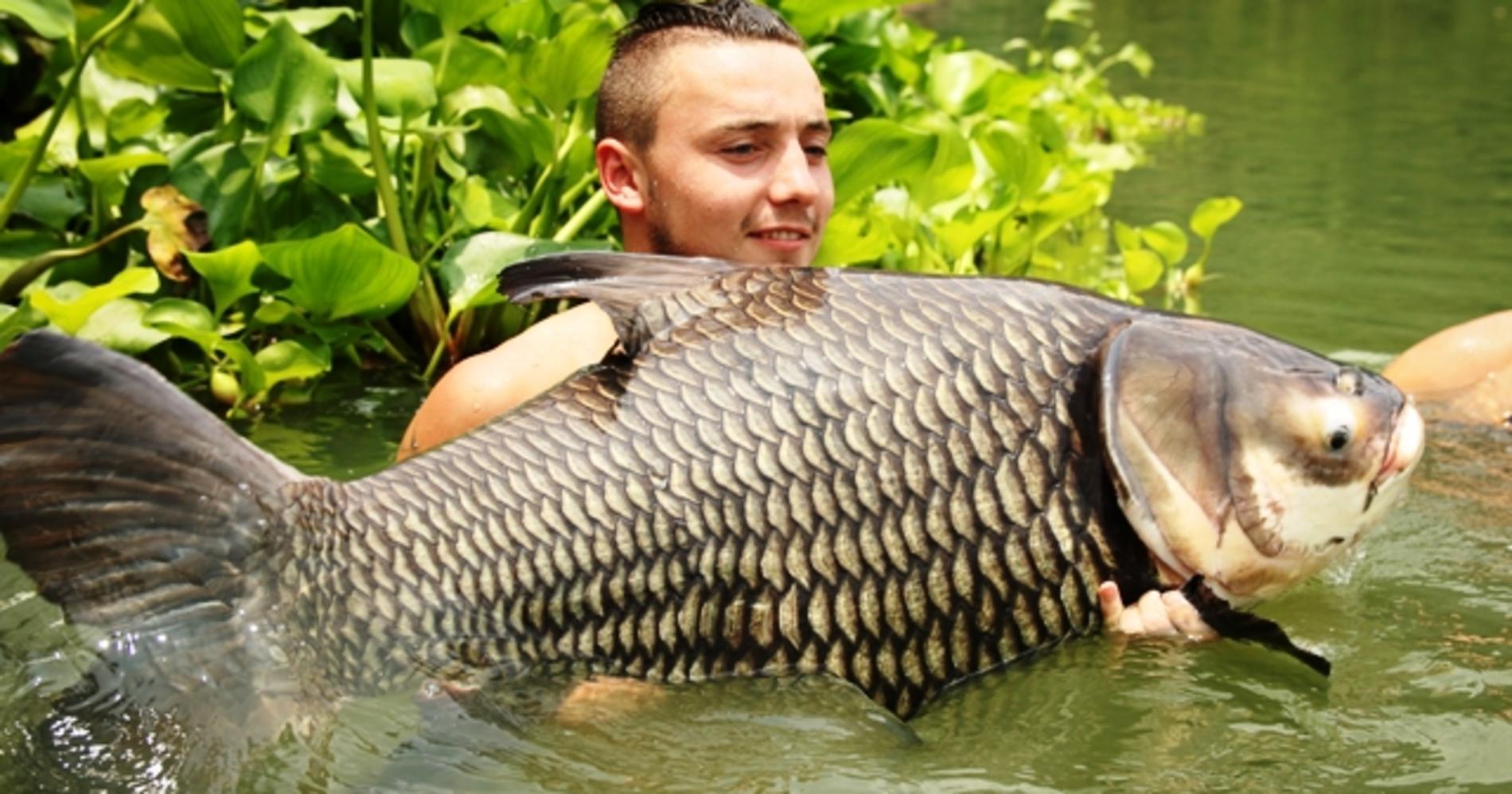 The Big Fish Off, Series 1 & 2 » TVF International